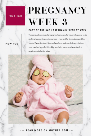 3 Weeks Pregnant - Pregnancy Week 3 | MOTHER.COM MOTHER